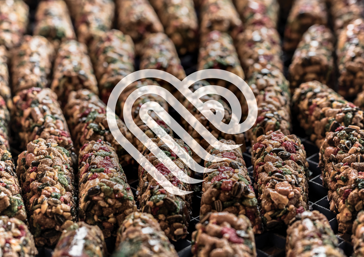 The QPS Project - Glue Creative